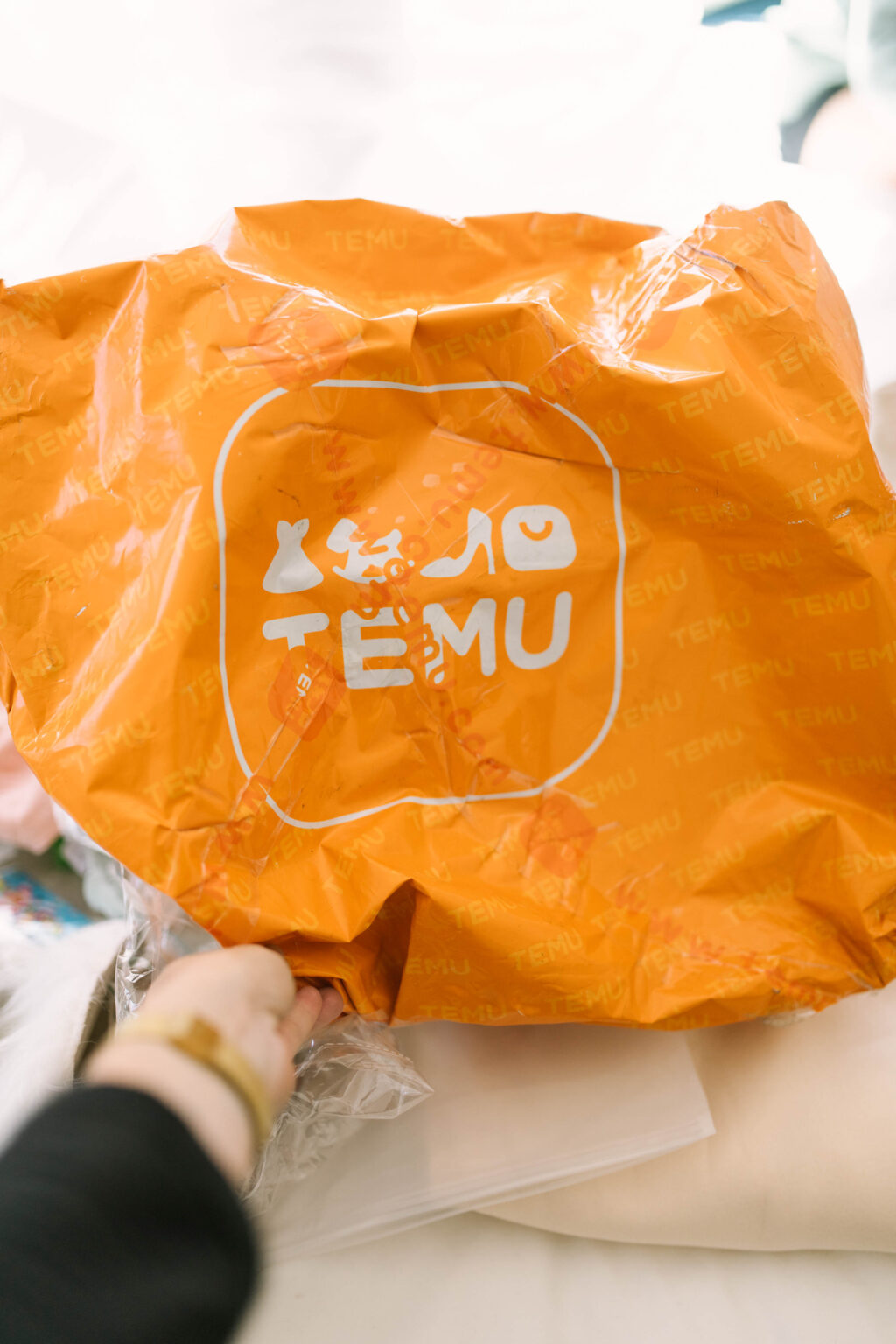 16 Best things I've Ordered from Temu | Elisabeth McKnight